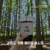 숲속 힐링 피톤치드 뿜뿜 강화도 카페 메타포레스트 네이버 블로그